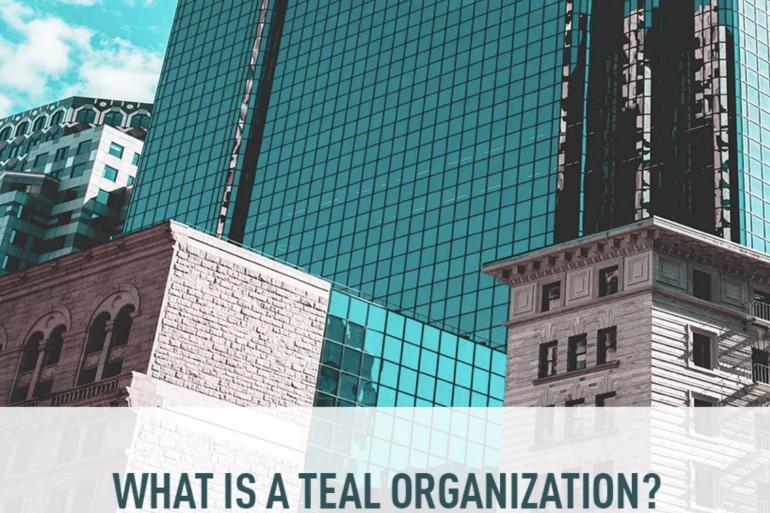 Teal Organization | Next-stage Organization | Reinventing Organizations