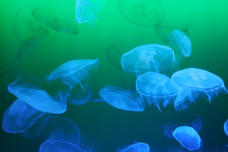 Haier is inventing a next-stage organizational model in China